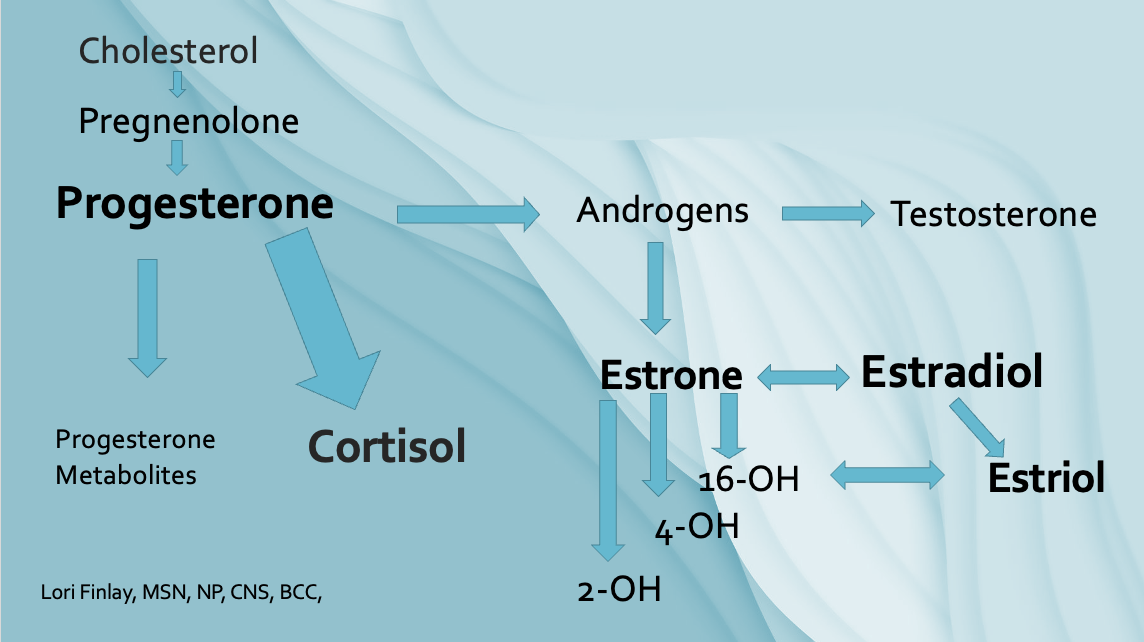 The Ugly Truth About Cortisol and Yang Energy- Lori Finlay